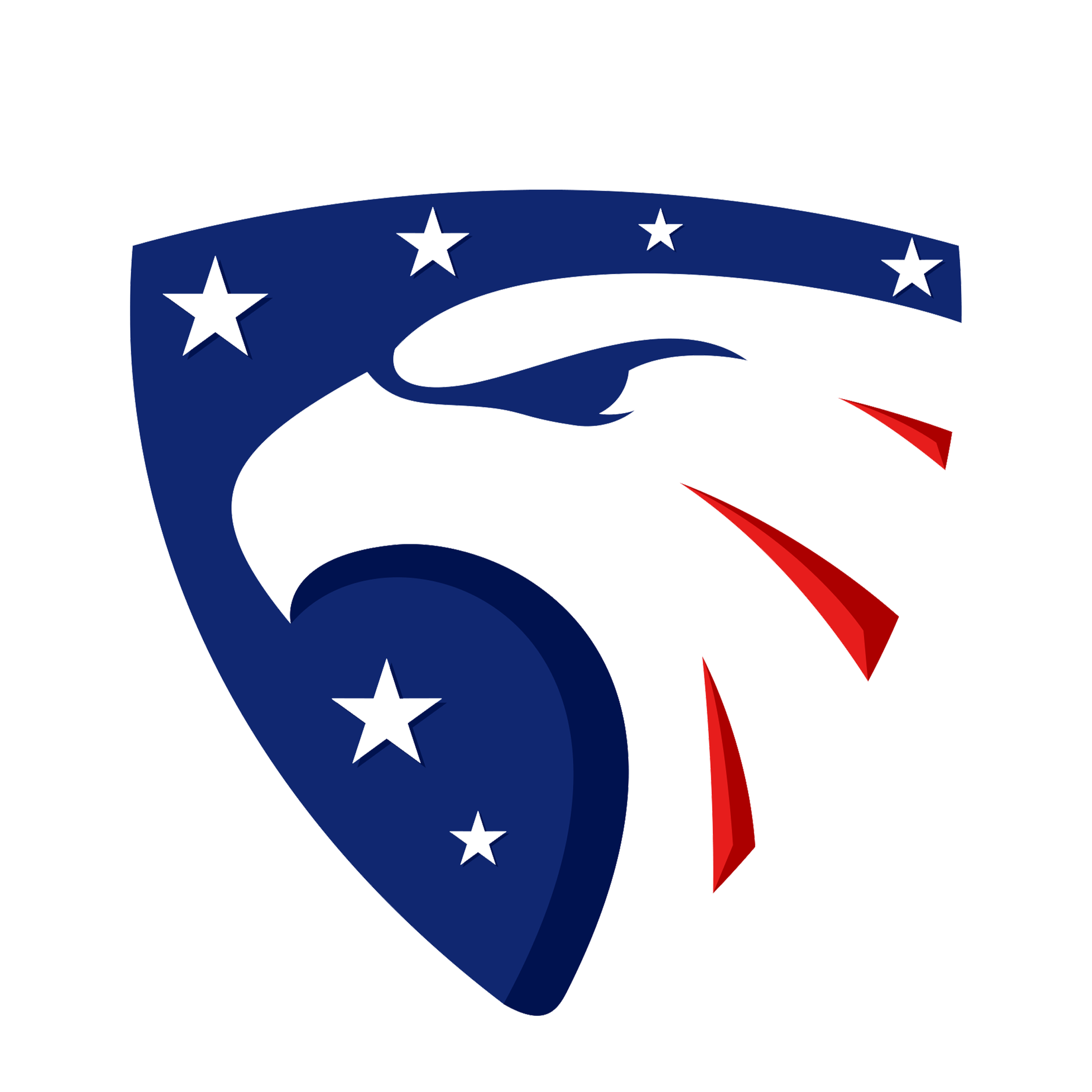 Patriot Firearms ICON LOGO